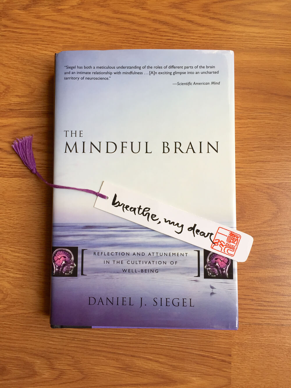 Emotional Suffering Mindfulness Meditation As A Refuge From Suffering